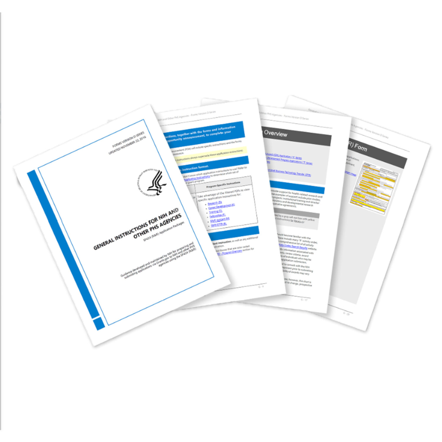 Program Management & Policy | Ripple Effect